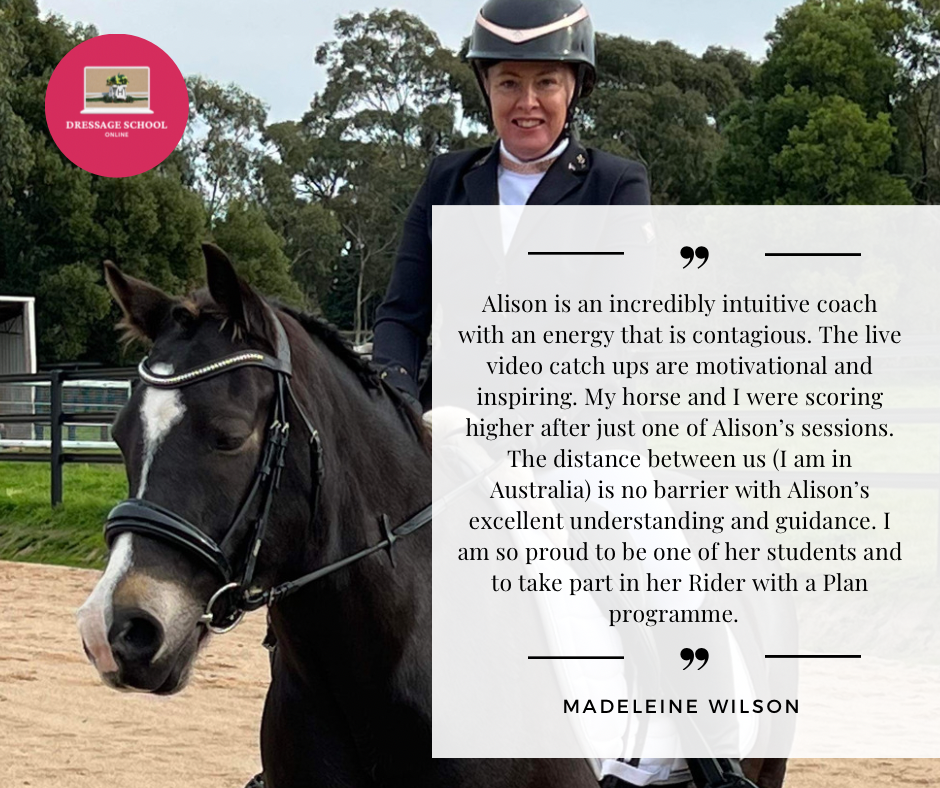 Dressage School Online