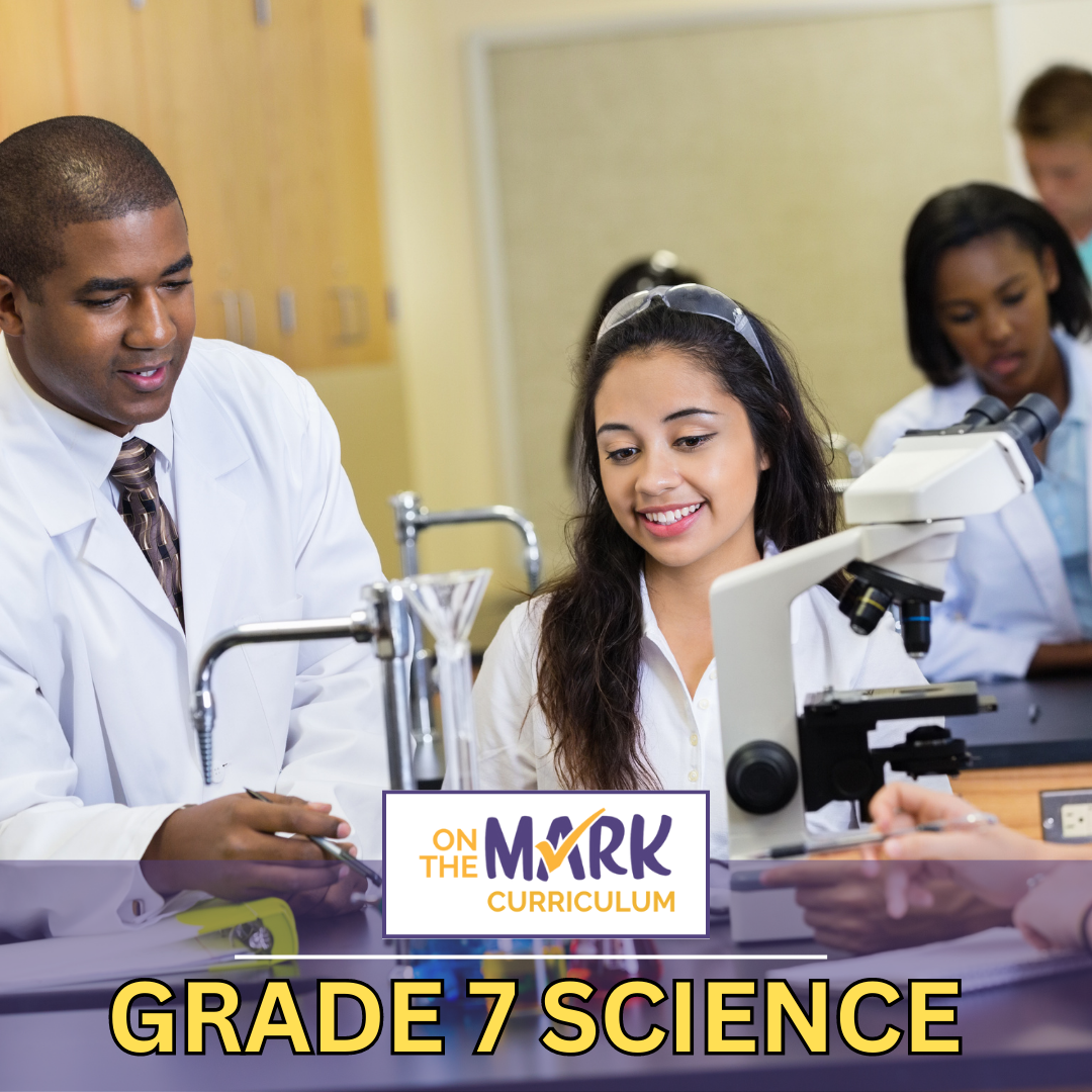 OnTheMarkCurriculum.com|home