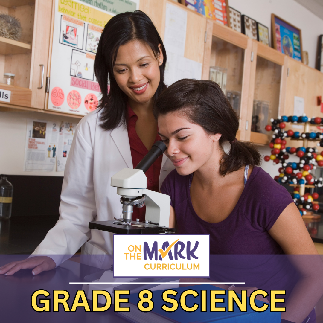 OnTheMarkCurriculum.com|home