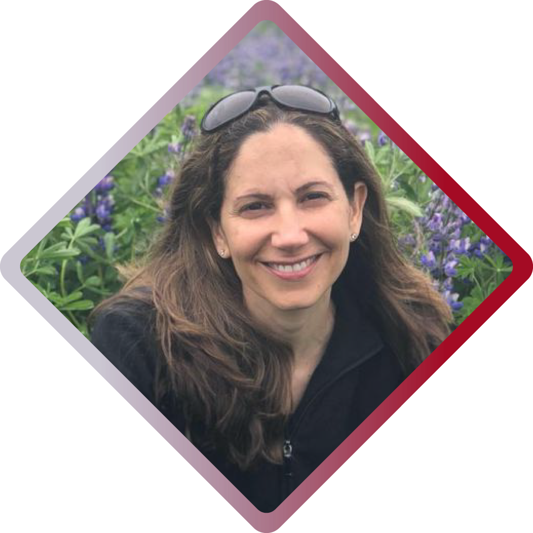 The Experts Bootcamp Dashboard