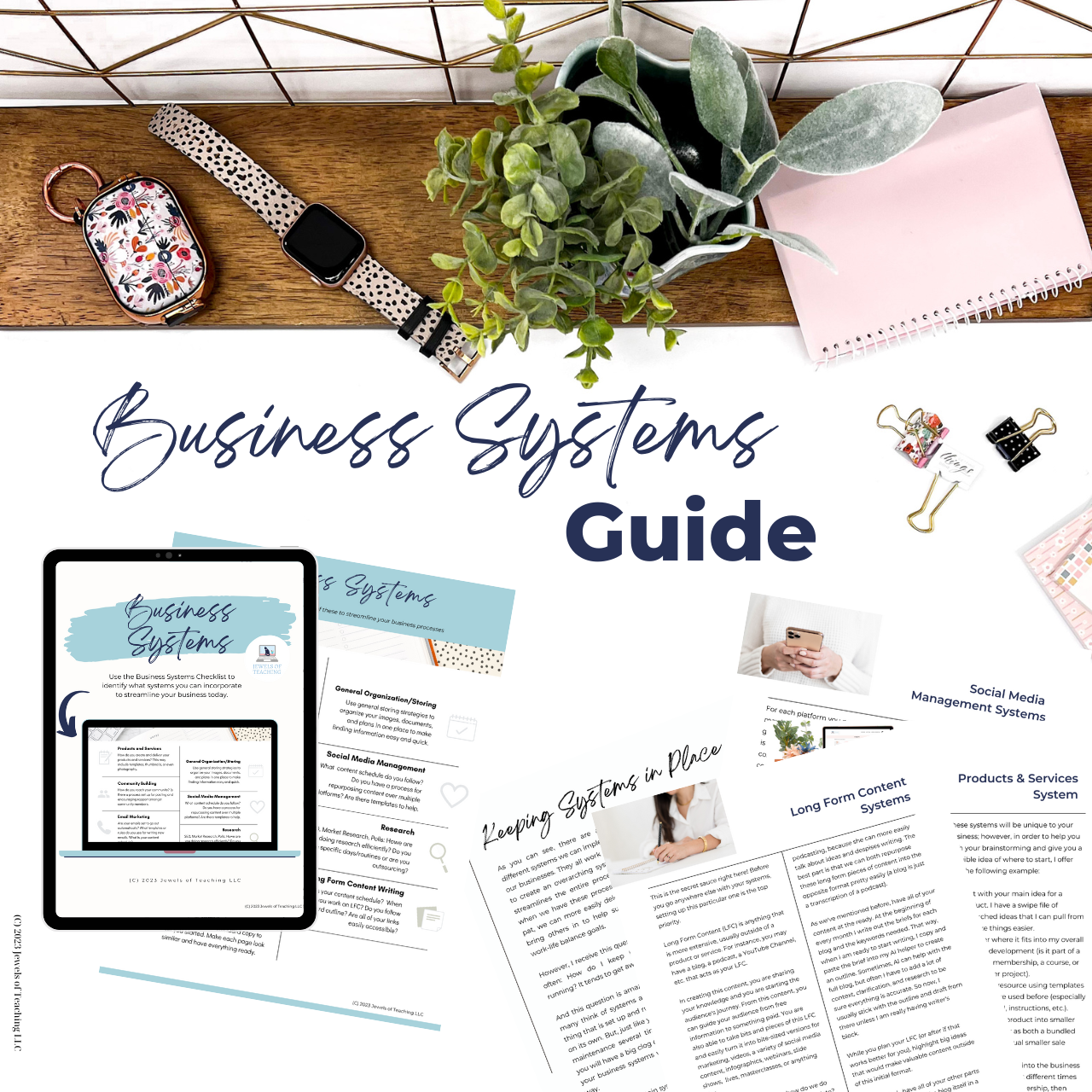 Business Organization: Systems and Processes