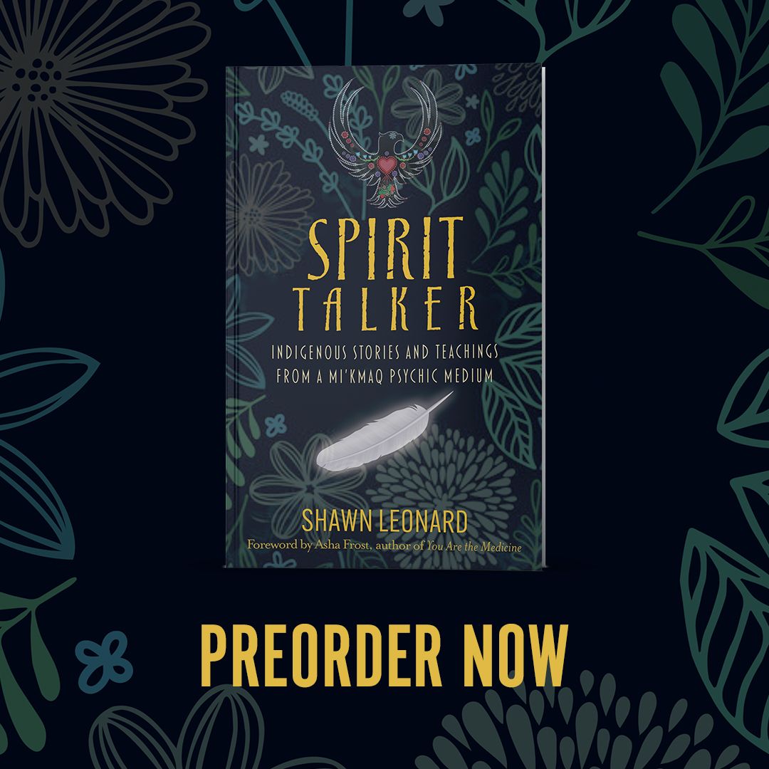 SpiritTalkerTheBook