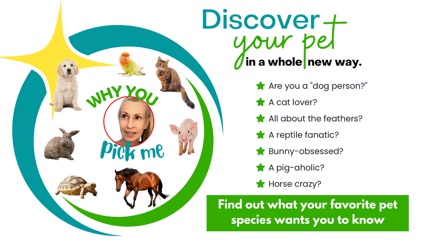 50 Science Supported Lesser Known Facts About Cats