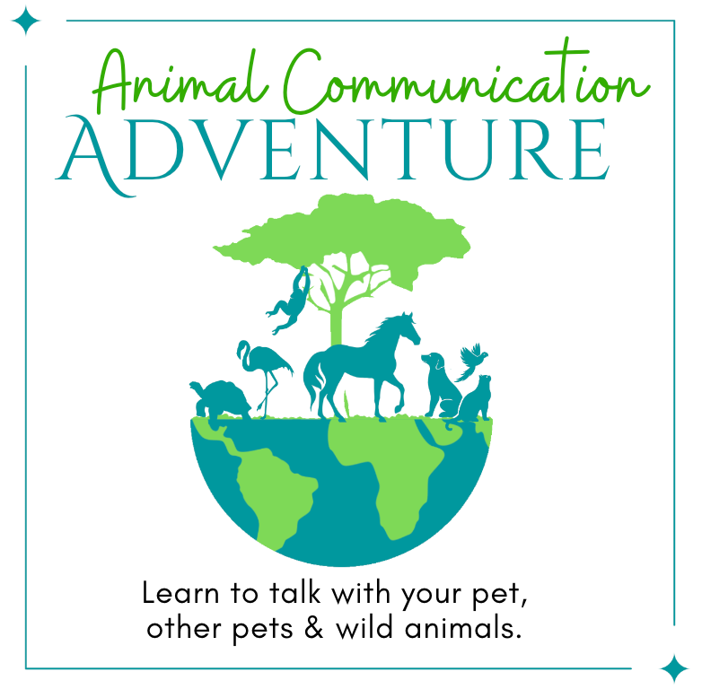 Coping With Pet Grief While Living With Your Reincarnated Pet