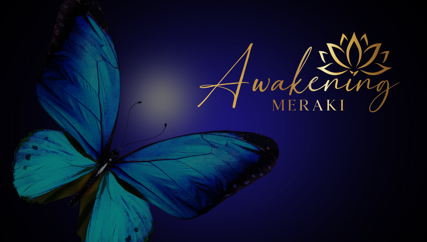 Awakening Meraki