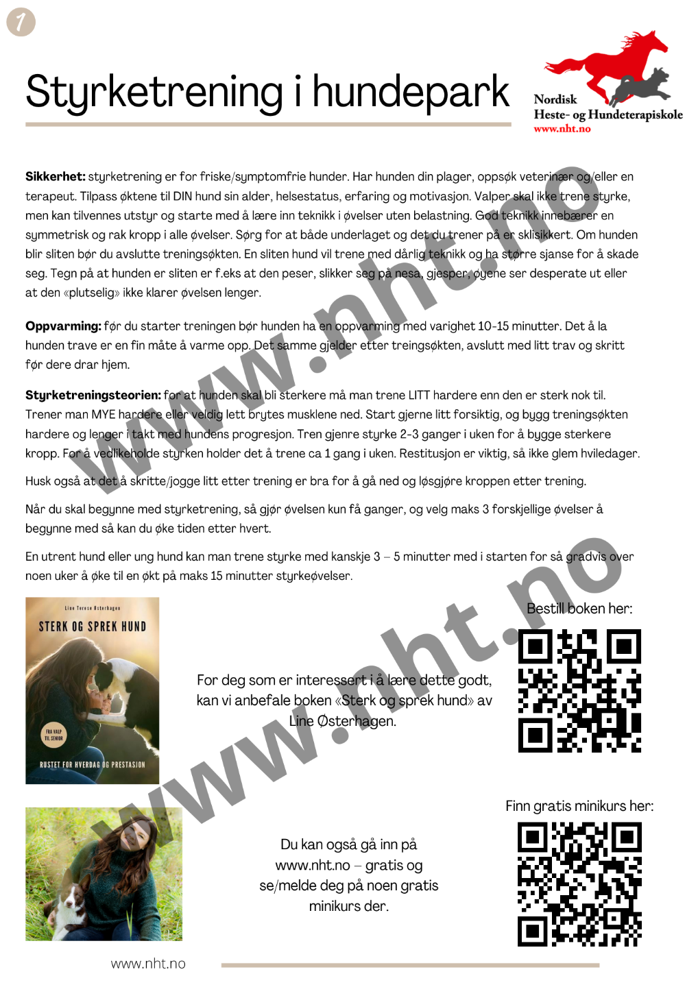 Hundepark plakat