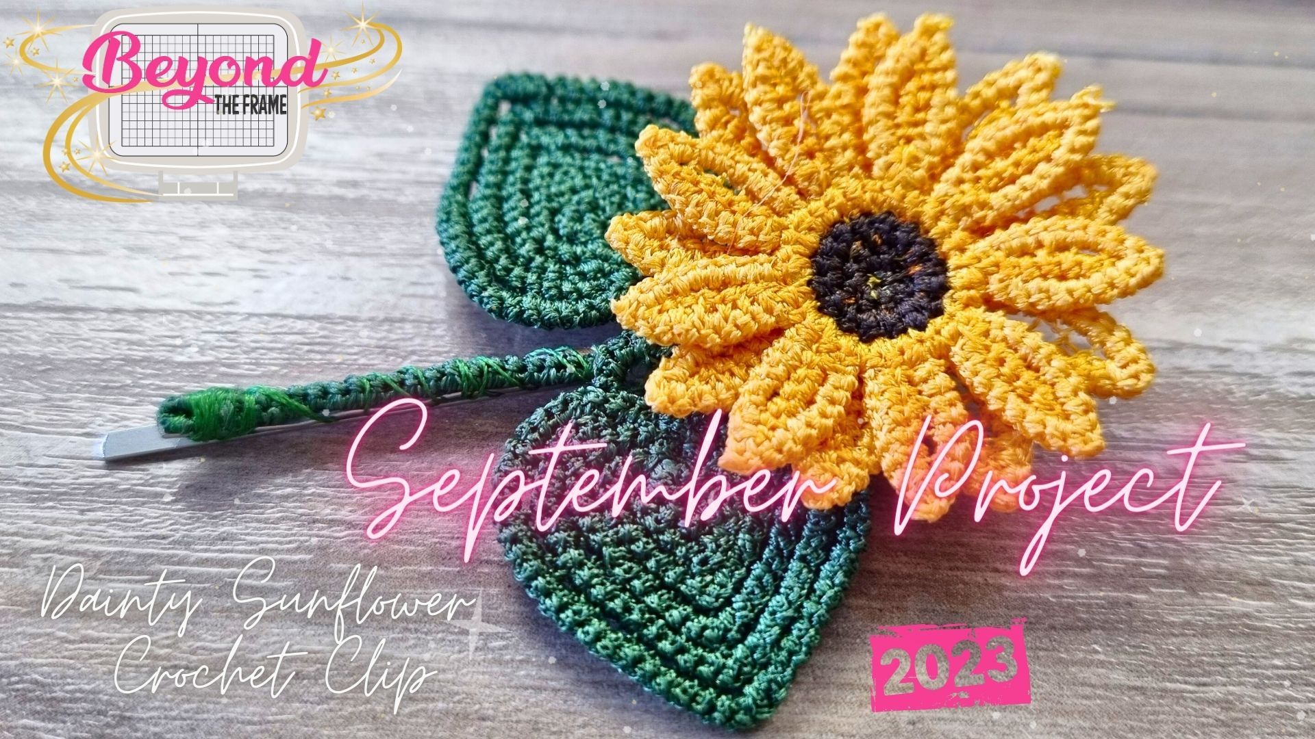 Beyond The Frame 2023 SEPTEMBER Project