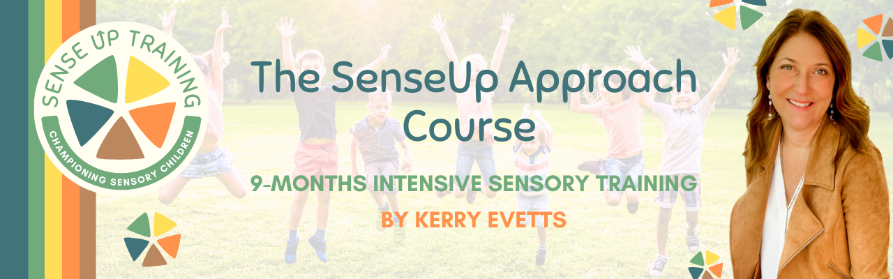 SenseUp Training - Championing Sensory Children
