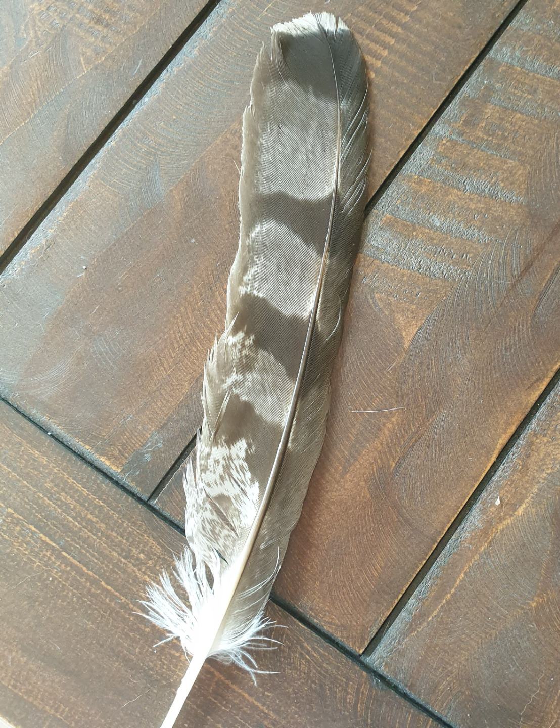 Healer-Renate Steen-Johansen