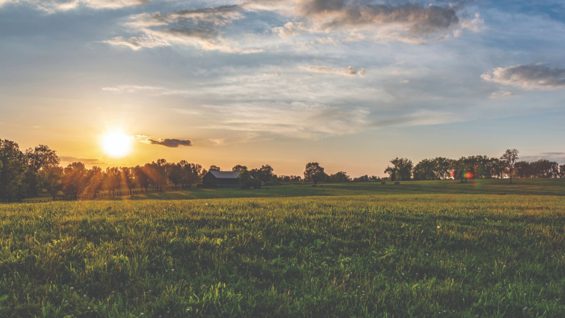 Refuge Builders' Intensive - Crisis Response International