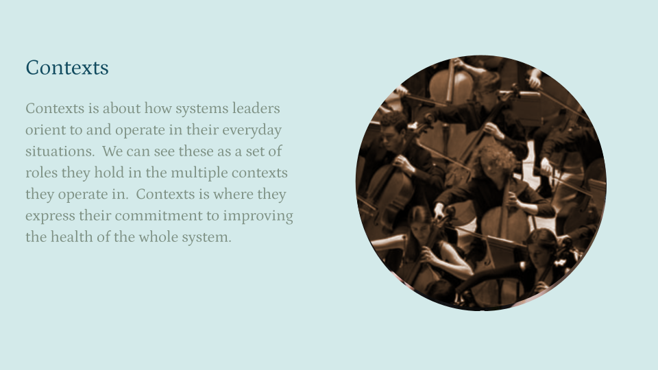 systems leadership program