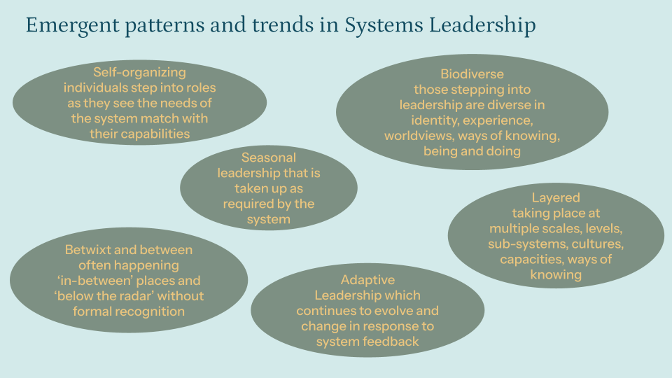 systems leadership program