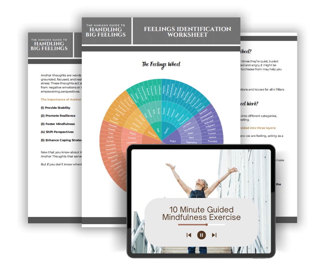 Humans Guide to Handling Big Feelings