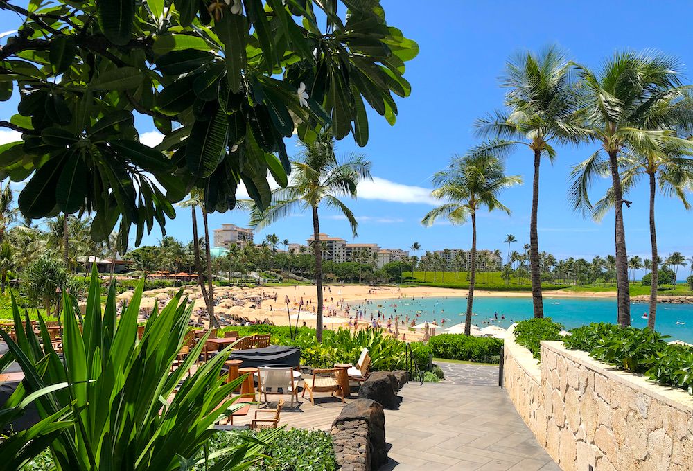 Aloha Starterアロハスターター(初級)