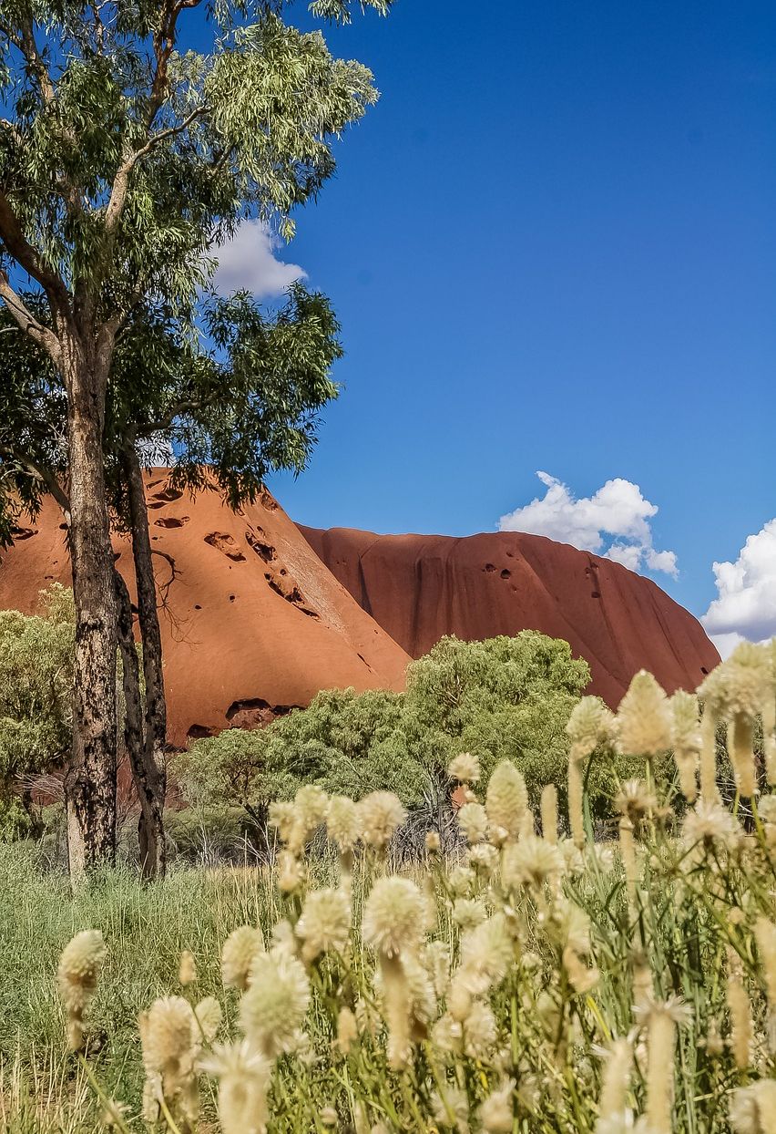 Australia Uluru 2024 - The Stargate Experience