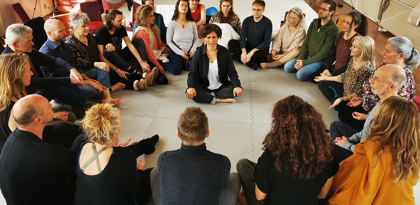 Advanced Somatic Shadow & Circle Work Facilitator Training