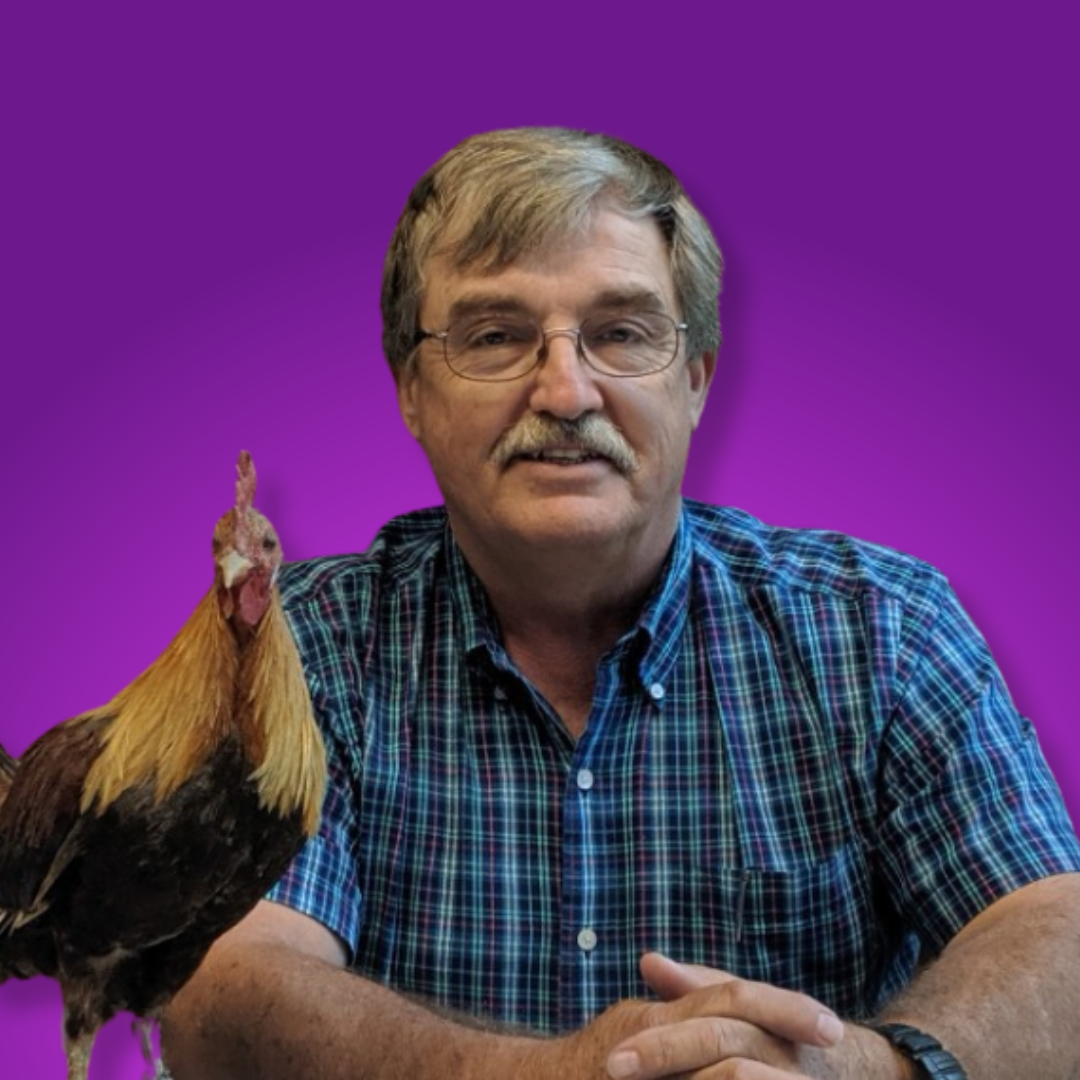 Poultry Feed Additive Summit Poultry Feed Additive Summit
