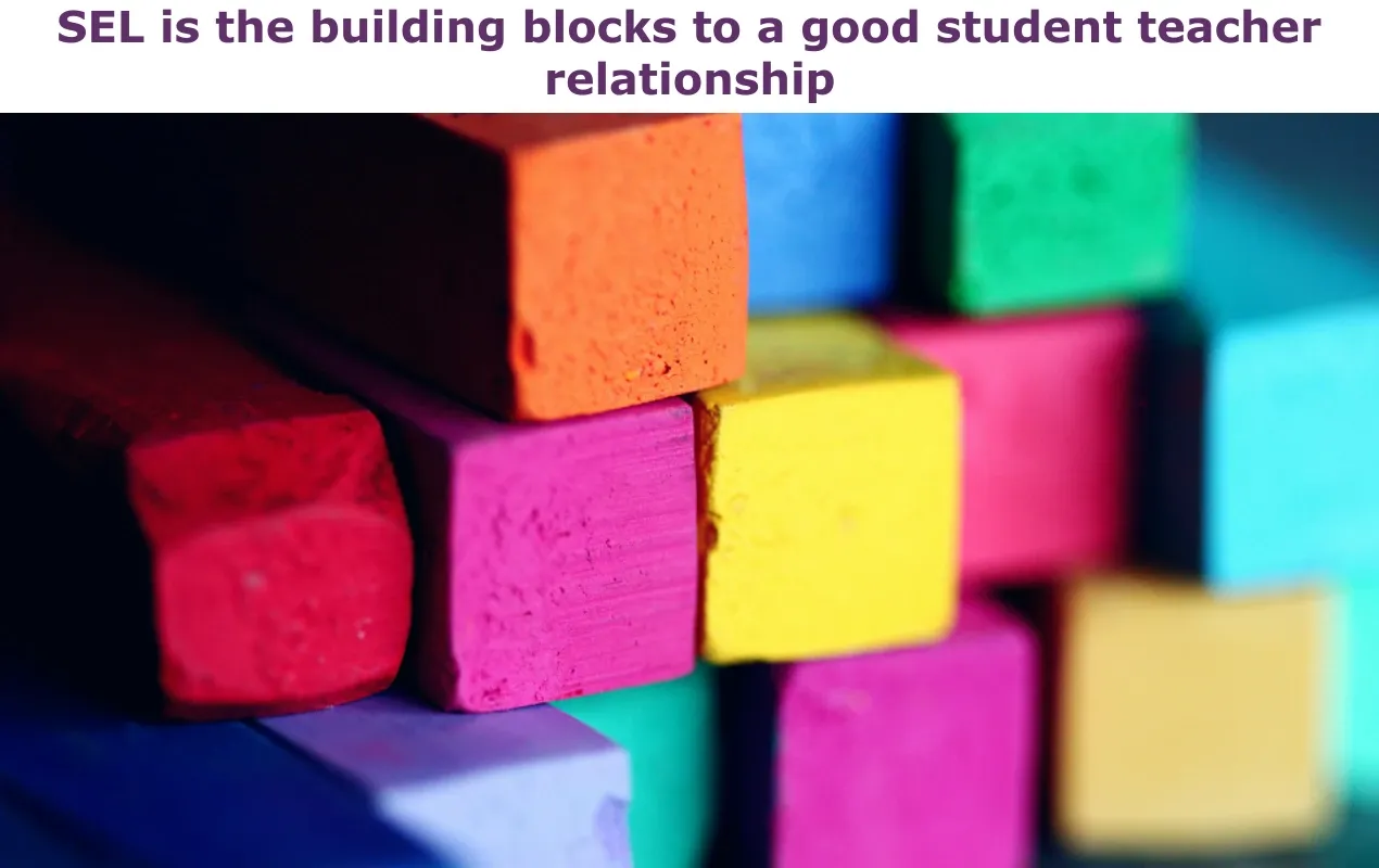 SEL | Mariposa Education