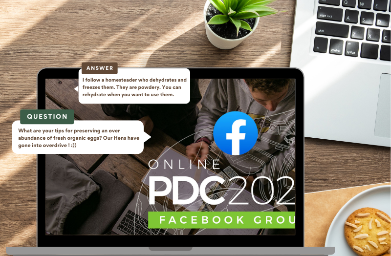 2024 PDC Full Launch