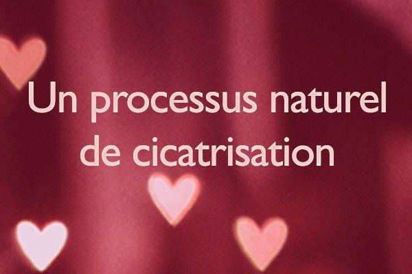 Programme d'accompagnement ''De la lumière sur ton deuil animalier''