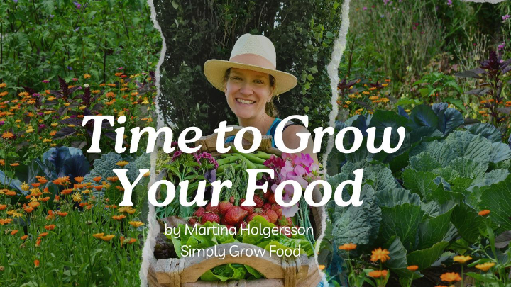 Simply Grow Food- Learn to Grow Your Own Food Despite Little Time