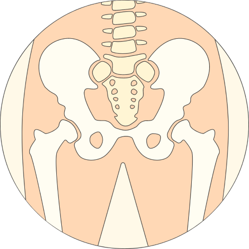 The Power of the Pelvis