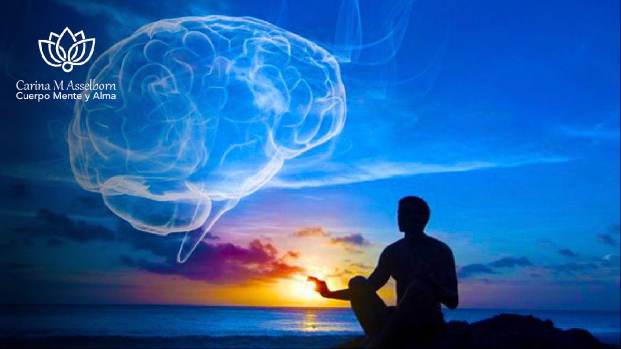 CONEXIÓN MENTE-CUERPO