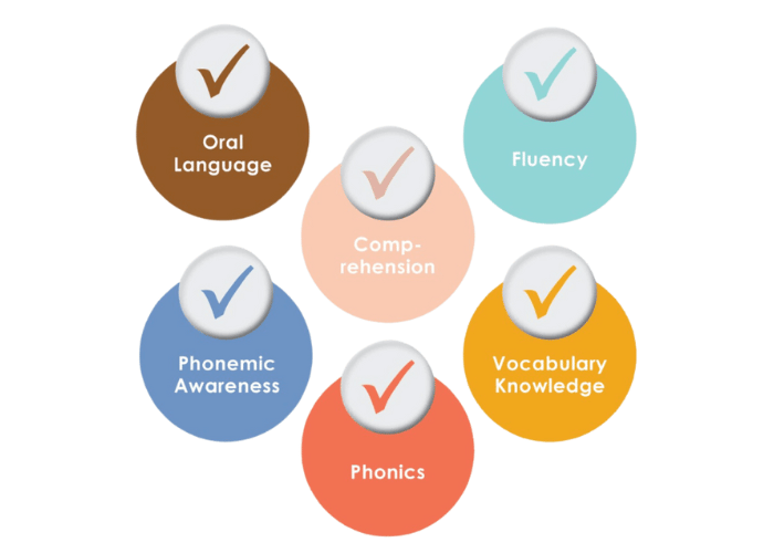 The Literacy Collective