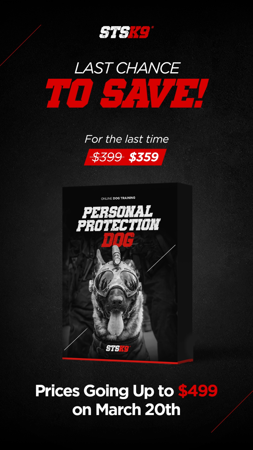 Personal Protection Dog Training Course