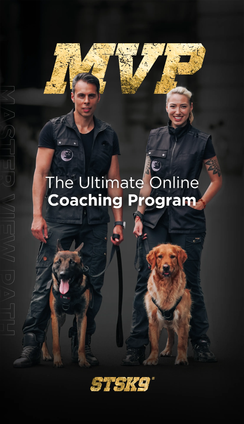 STSK9 Master View Path Dog Training Certification Program