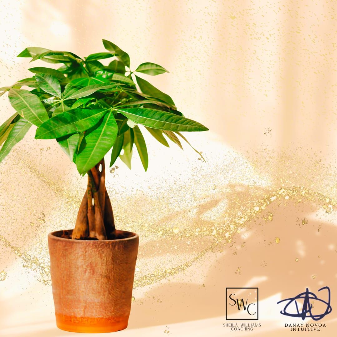 Money Shift Workshop