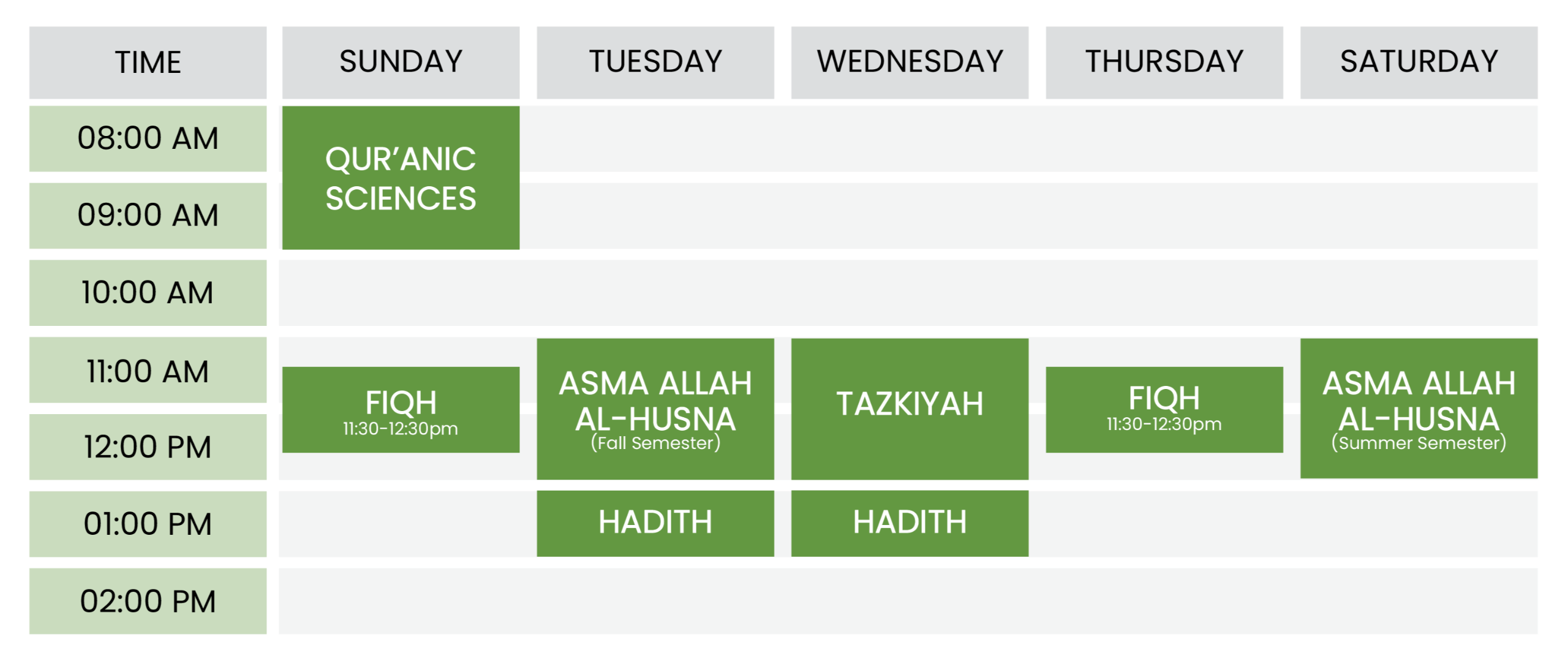 Year of Knowledge | Jannah Institute