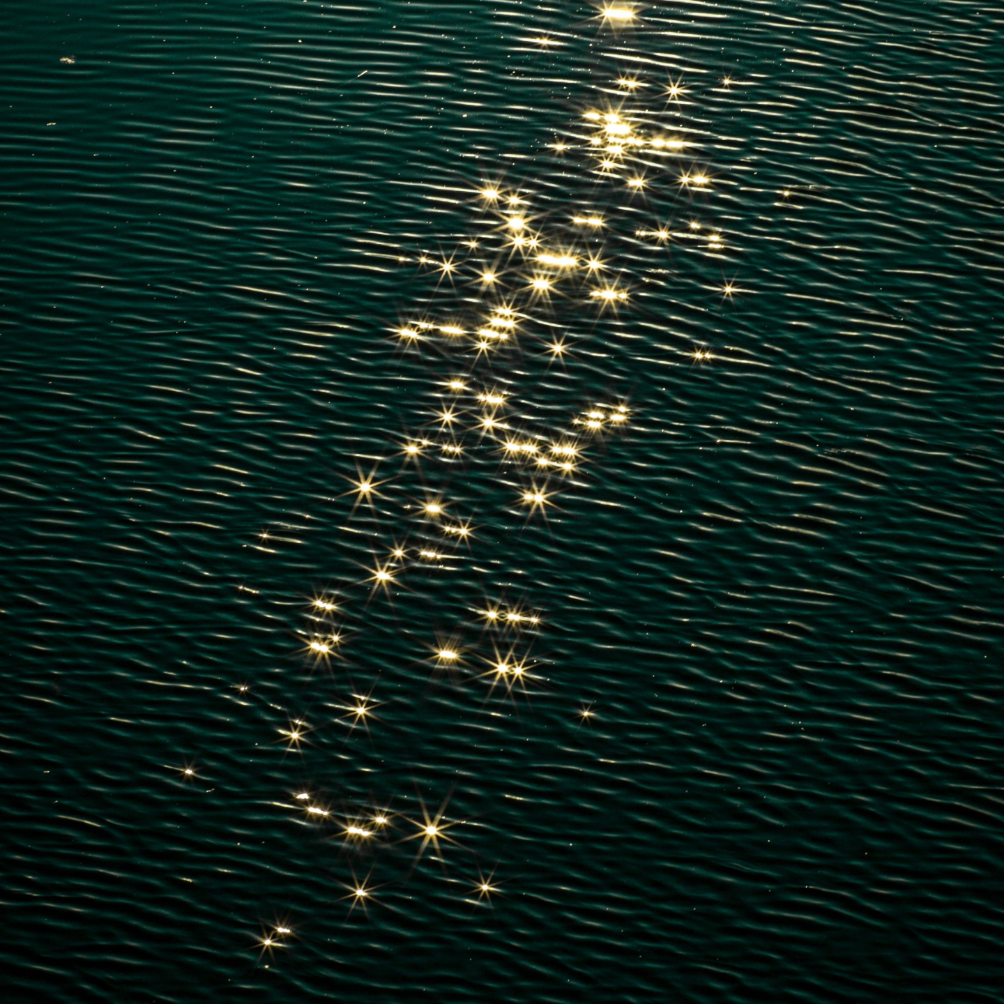 Claim Your Story Landing