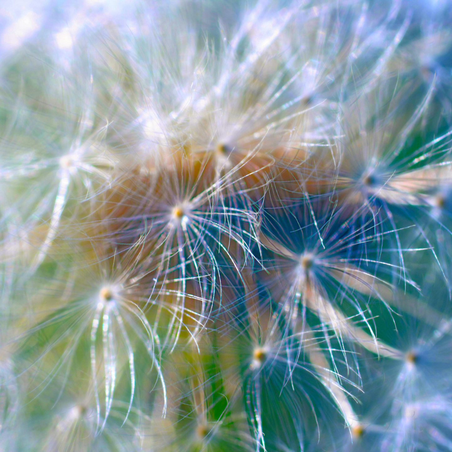 Claim Your Story Landing