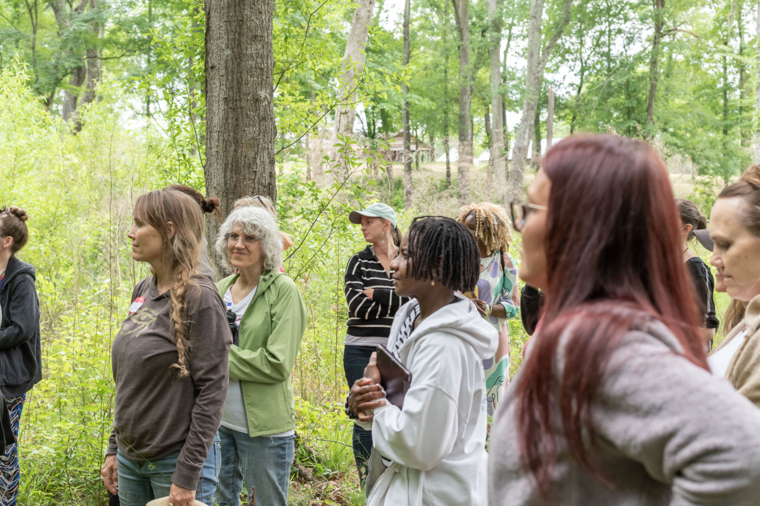 Lilly Fields Wellness Destination