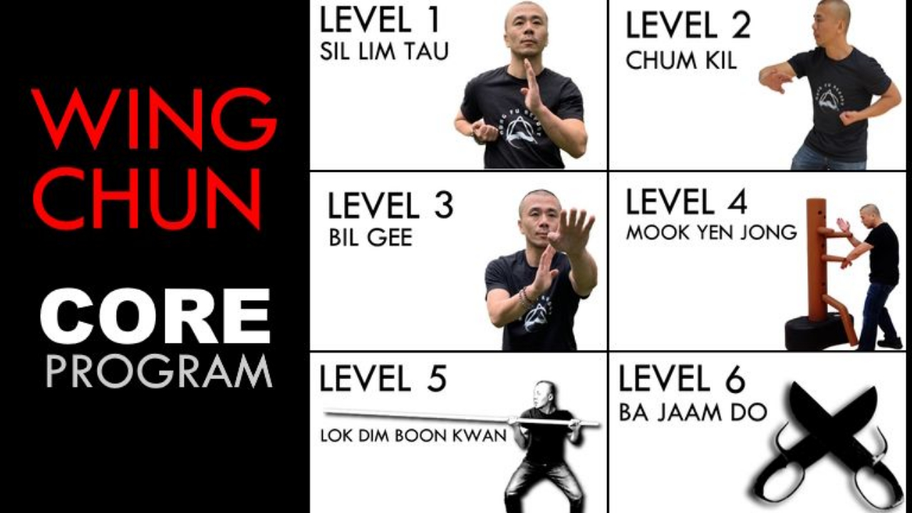 Kung Fu & Wing Chun Online Training Programs