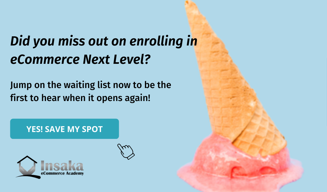 Insaka eCommerce Academy | Learn eCommerce in South Africa