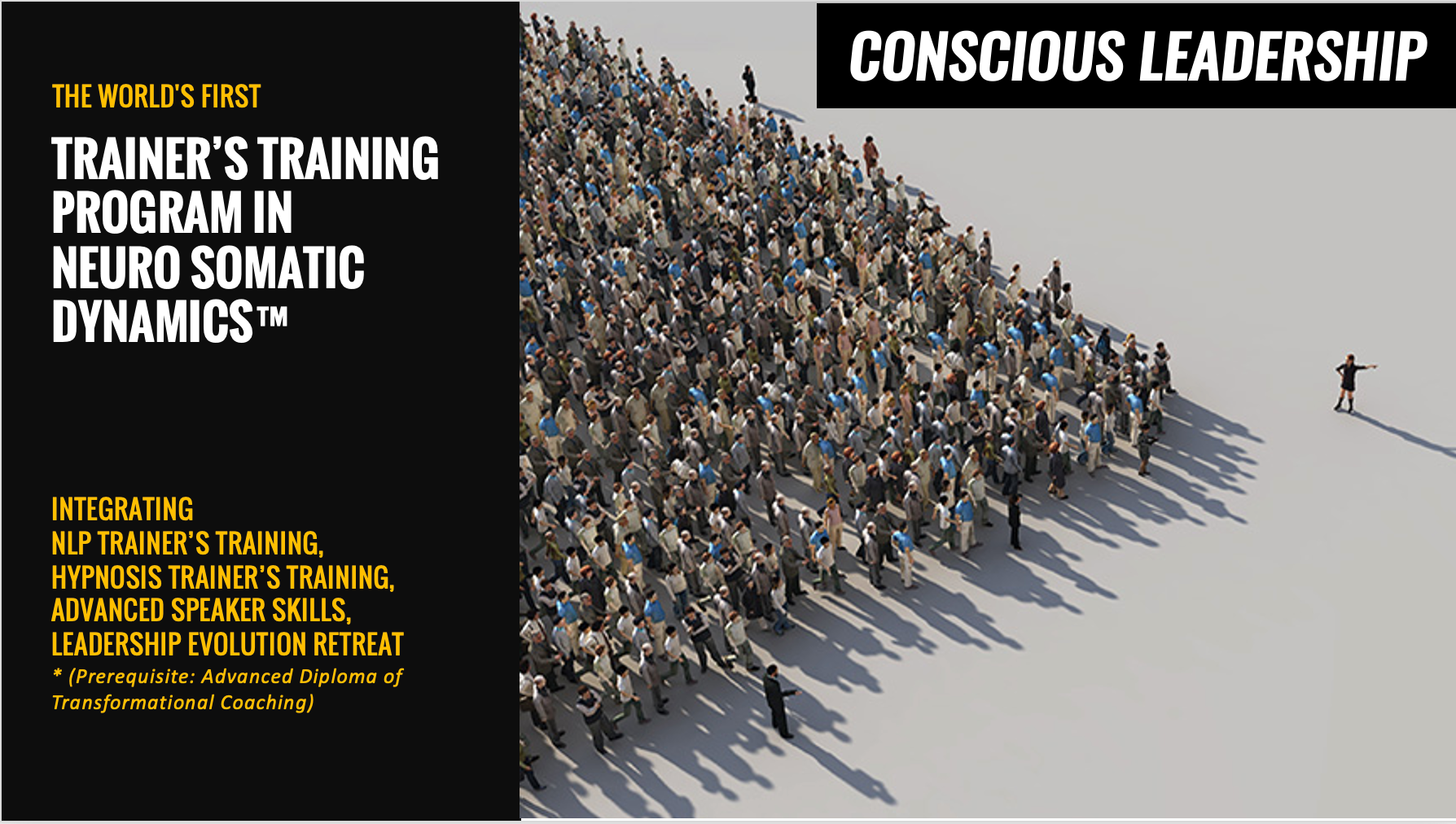 Conscious Mastery Academy