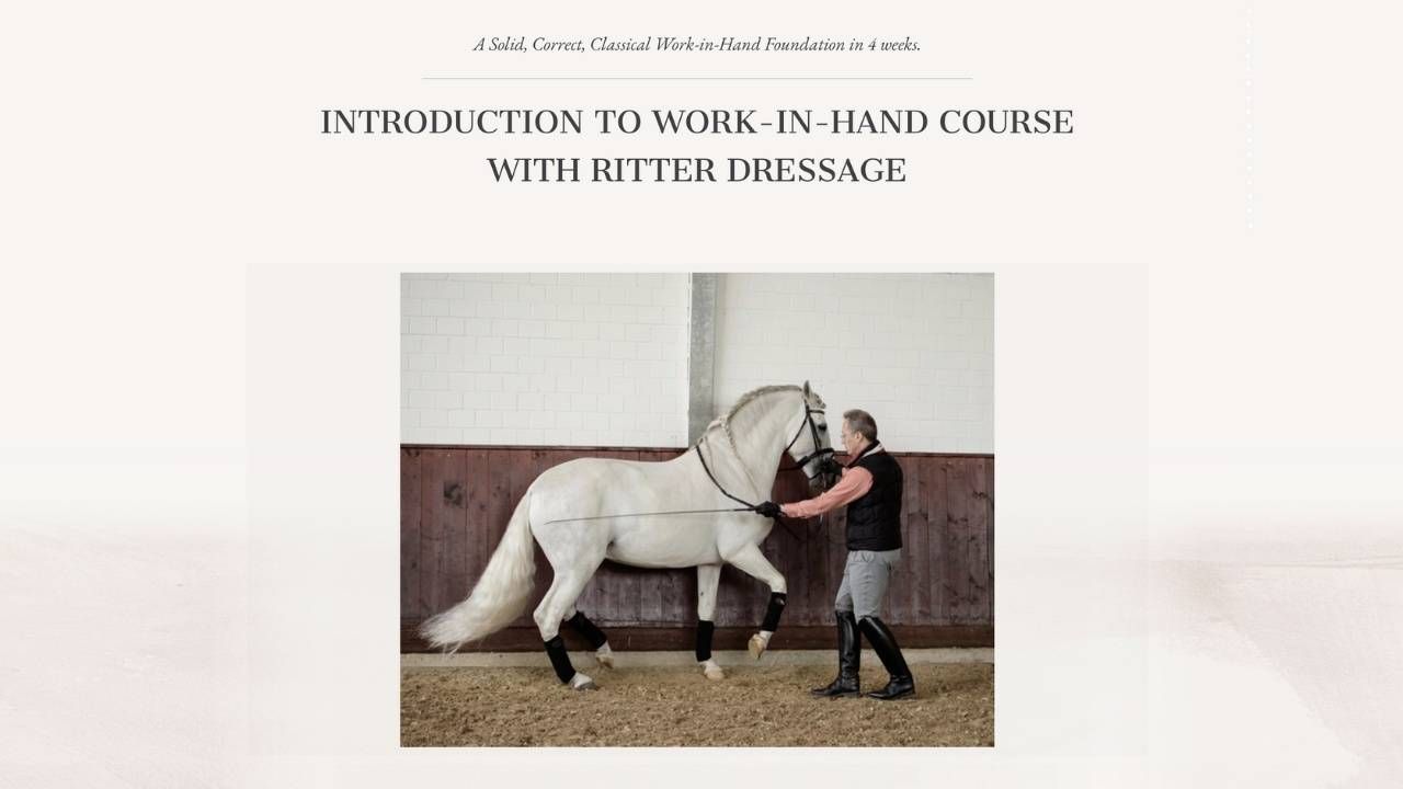 Artistic Dressage Program Online Courses for Dressage Riders