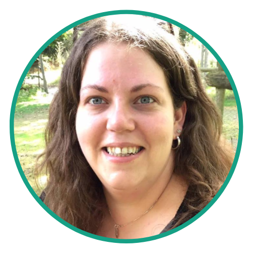 Workshops and Webinar