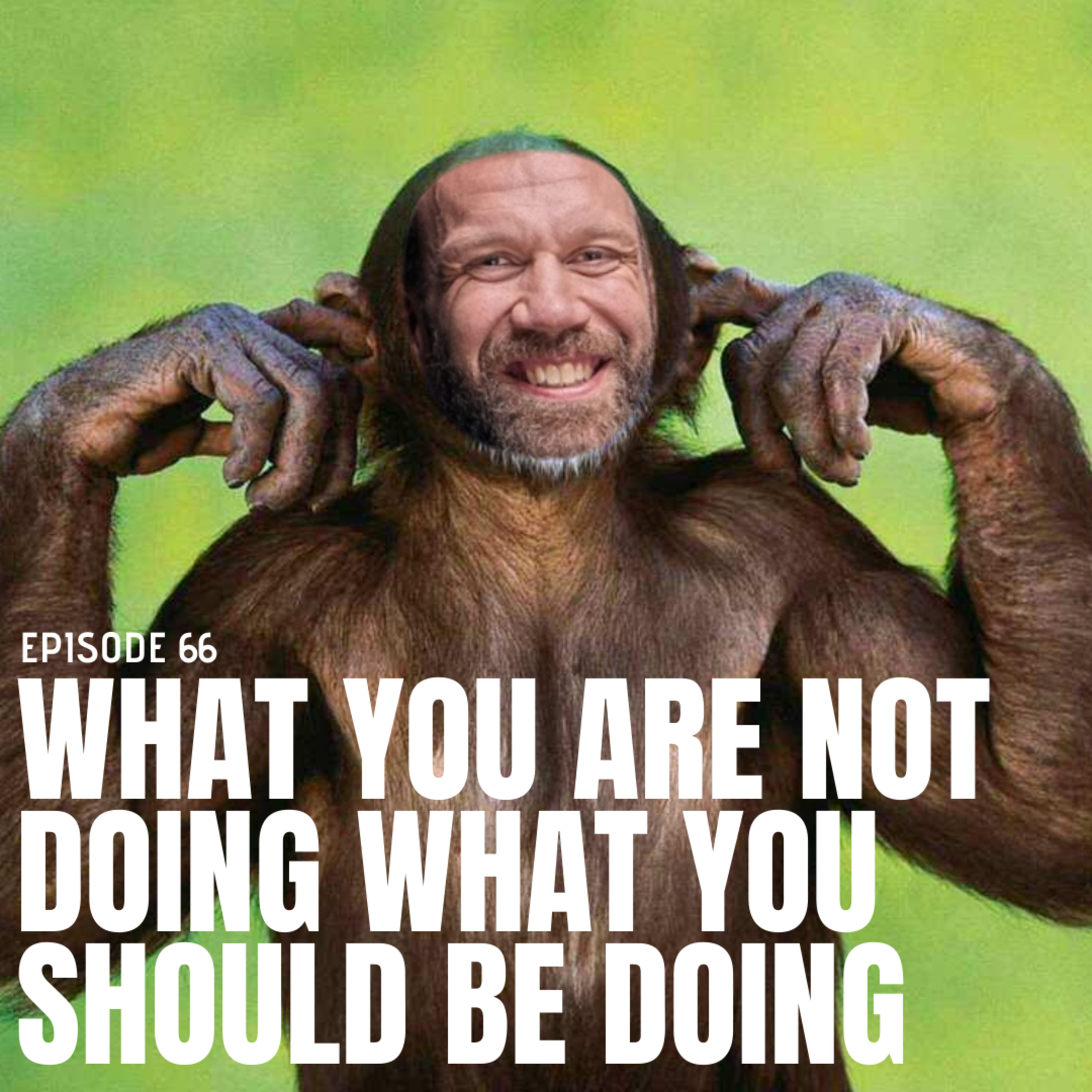 Episode 66 - Why you are NOT doing what you SHOULD be doing