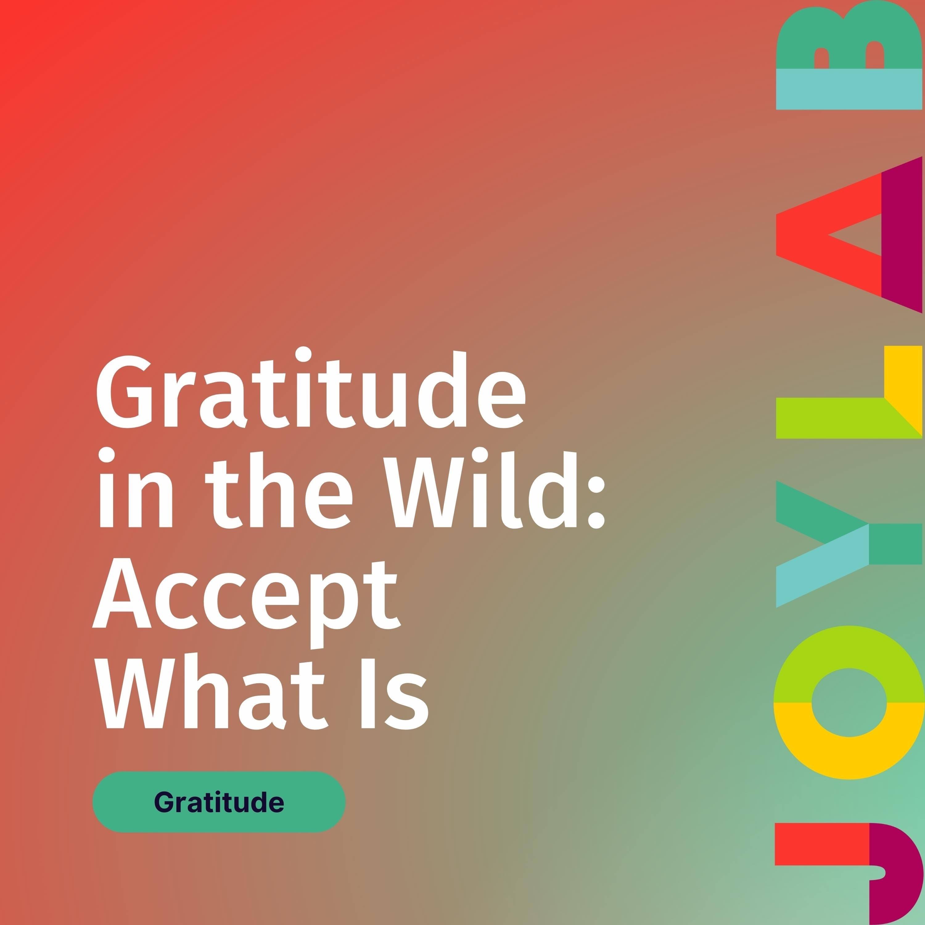 31. Gratitude in the Wild: Accept What Is