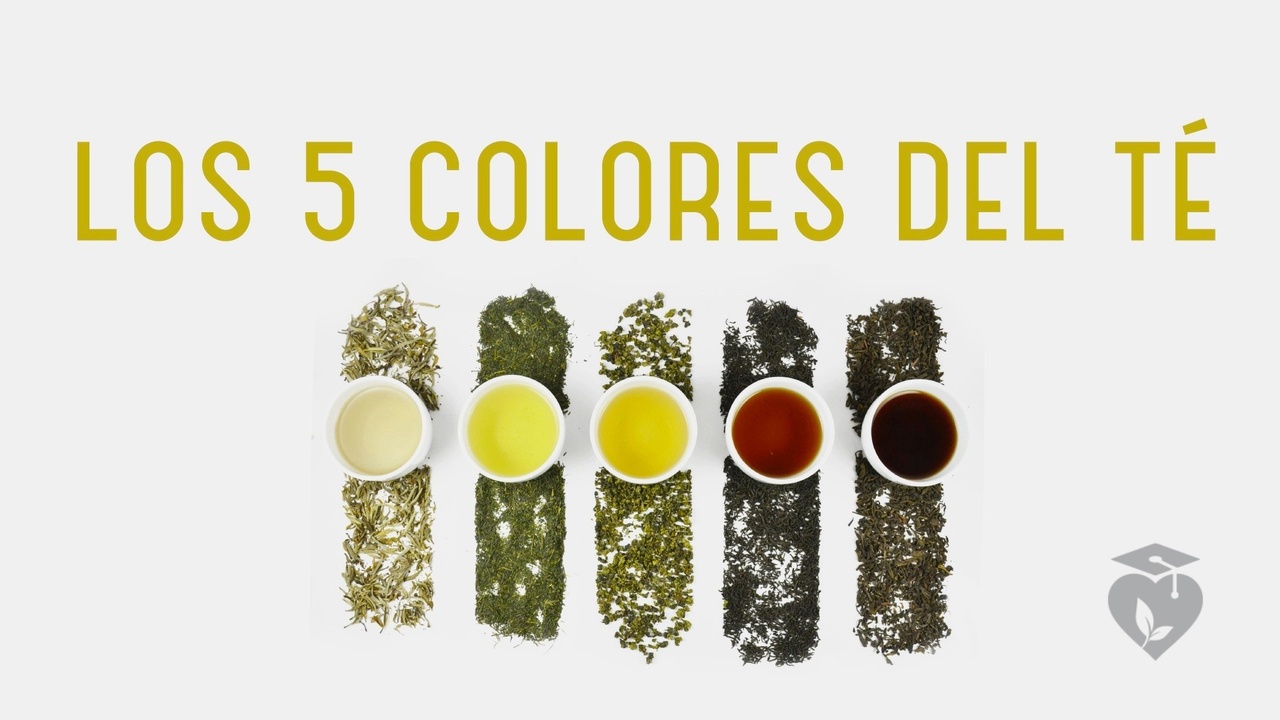 INICIA TU VIAJE POR LOS 5 COLORES DEL TE