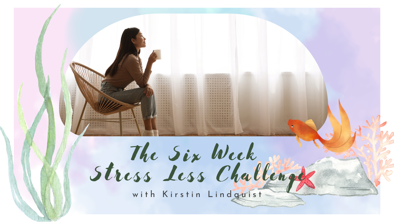 Take a Class in Real Time