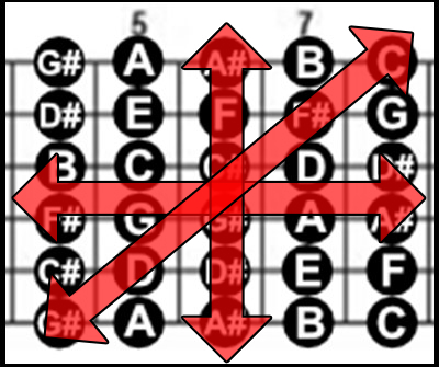 8 Different Ways to Visualize the Neck