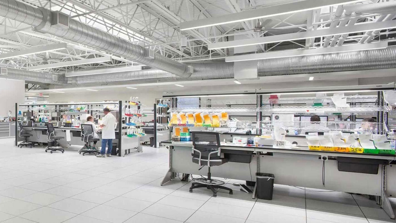 GuidedSMILE Courses and Certification