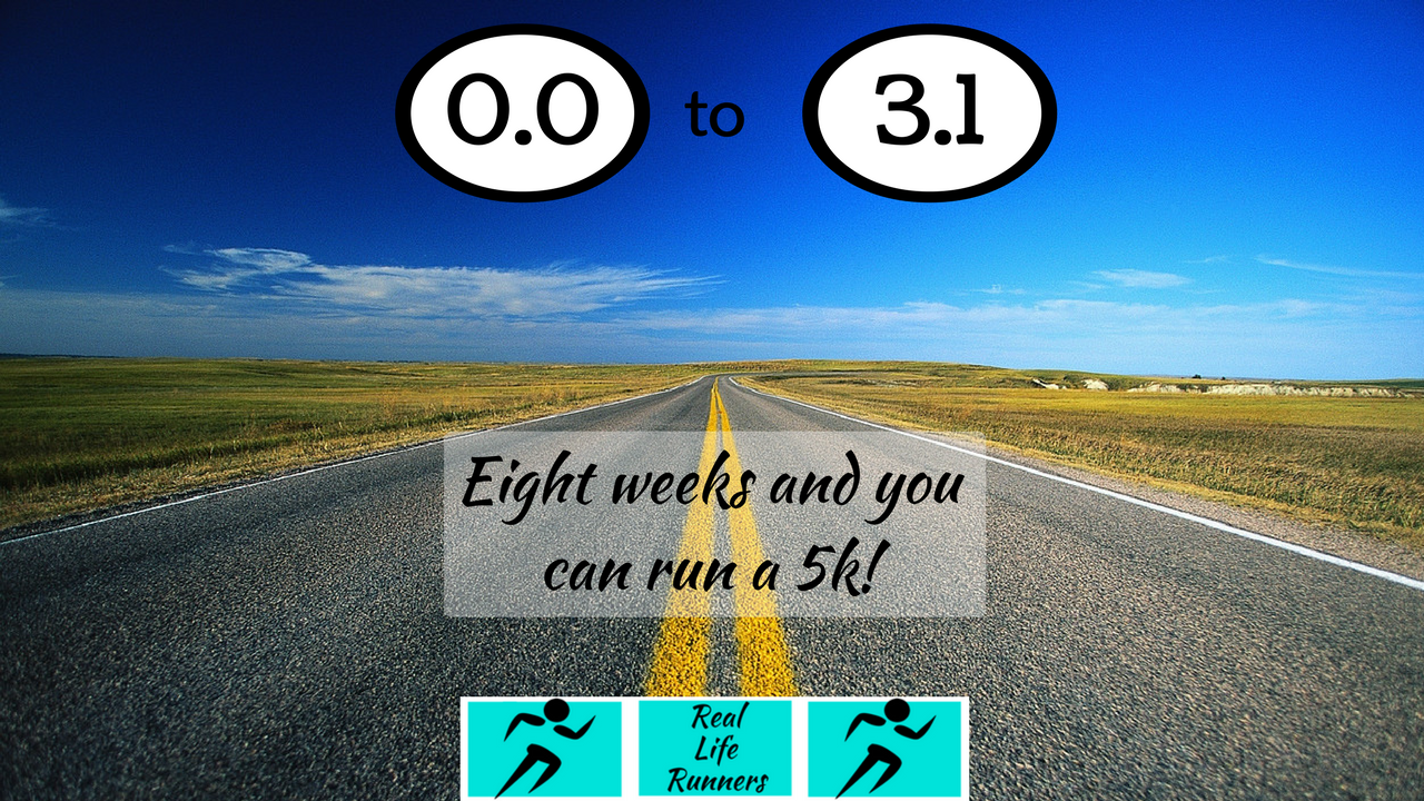 0.0 to 3.1 Training program