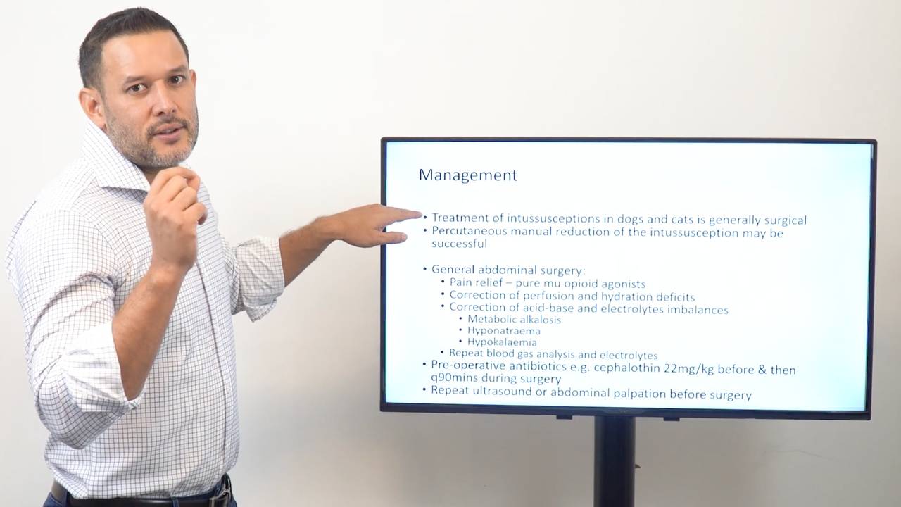 Intussusception Online Course - MiniVet Guide