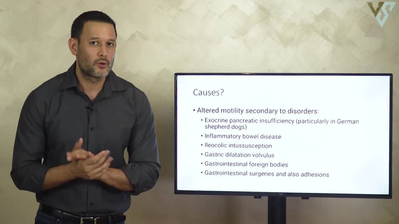 Intestinal Torsion Online Course - MiniVet Guide