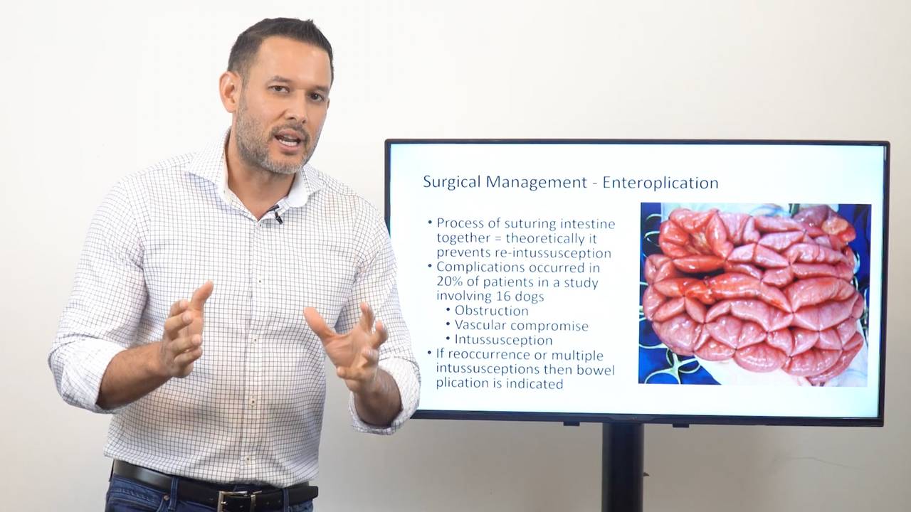 Intussusception Online Course - MiniVet Guide